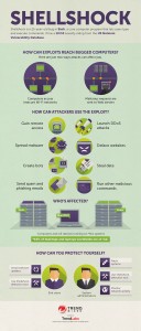 » What is Shellshock?